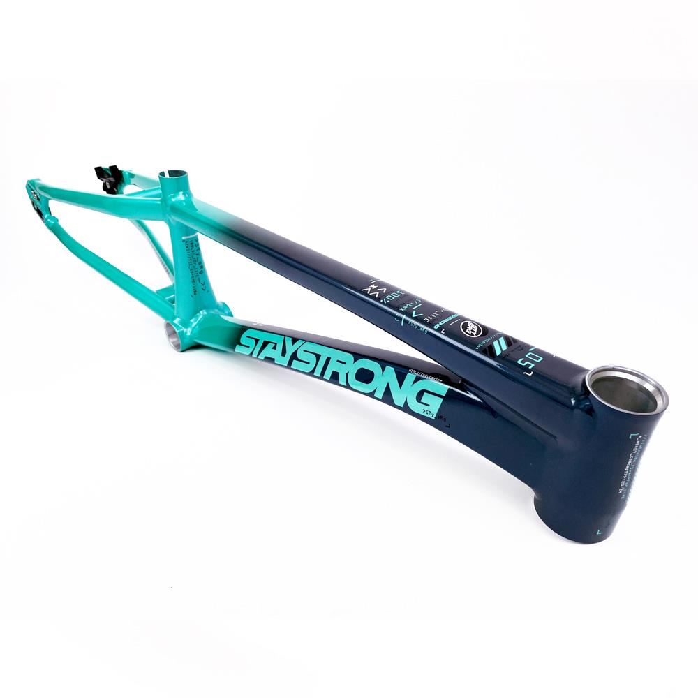 Stay Strong For Life 2024 V5 Pro XXL Race Frame - Disc version – Source BMX