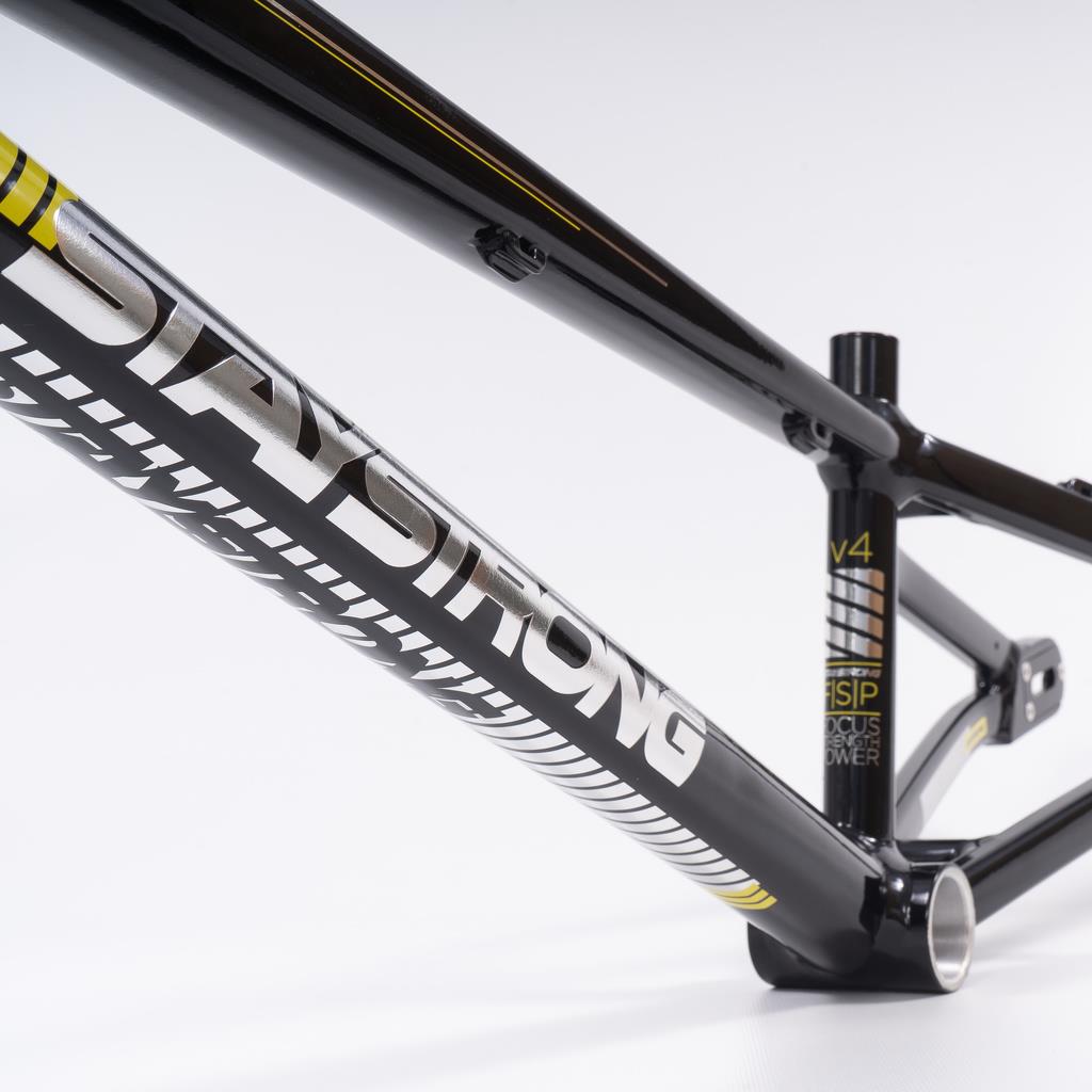 Stay Strong For Life 2023 V4 Expert Race Frame - Disc Version | Source BMX